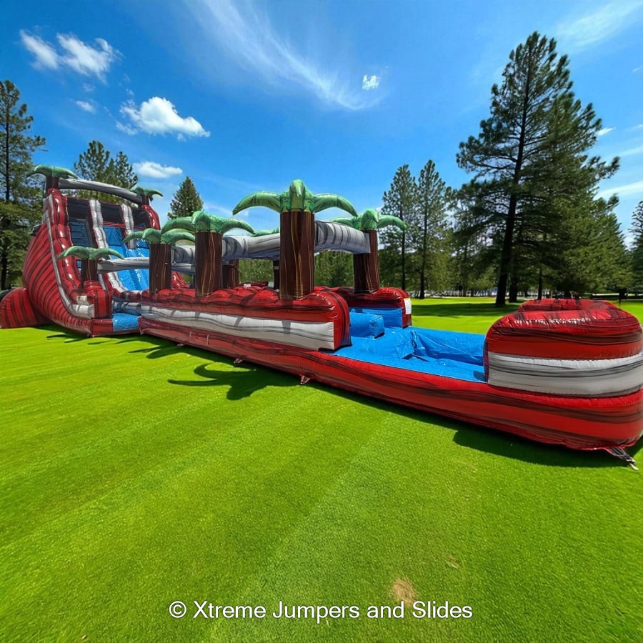 NEW! 2025 Collection